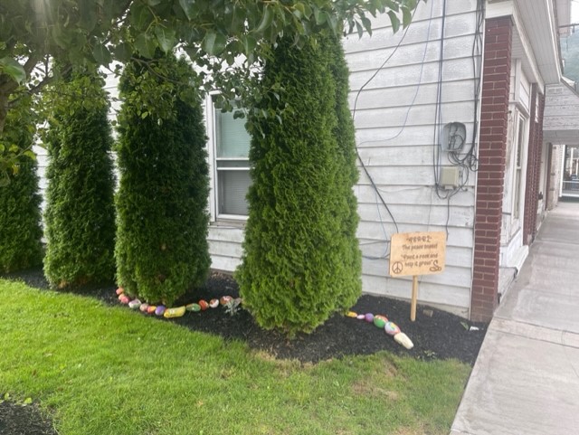 STONY SERPENT | News, Sports, Jobs - The Sentinel